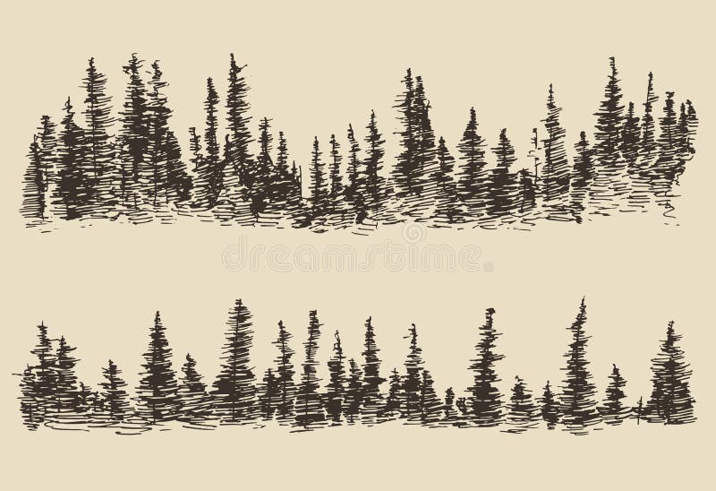 Contours De Forêts De Sapins Gravure En Montagne Illustration de ...
