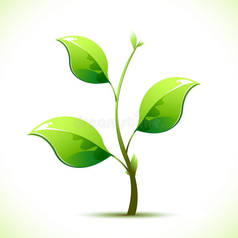 Sapling Stock Illustrations – 33,854 Sapling Stock Illustrations ...