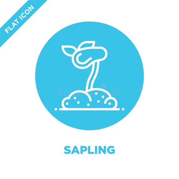 Sapling Icon Vector from Global Warming Collection. Thin Line Sapling ...