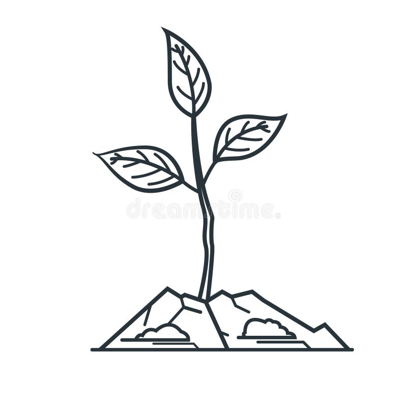 Sapling. Vector Illustration Decorative Background Design Stock ...