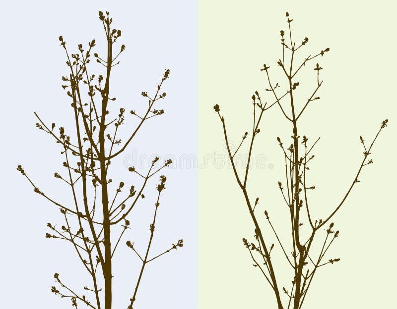 Tree saplings stock vector. Illustration of young, plantings - 37633898