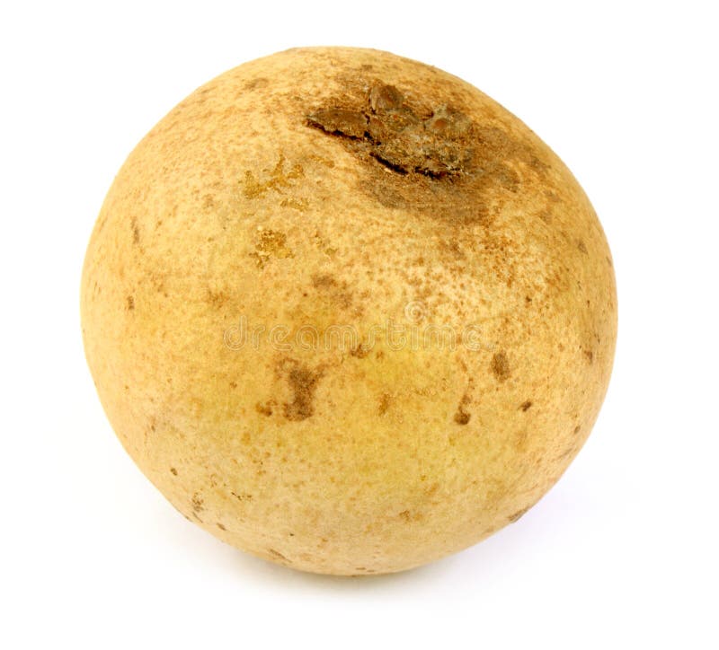 Sapodilla fruit stock image. Image of nutrition, dessert - 17479987