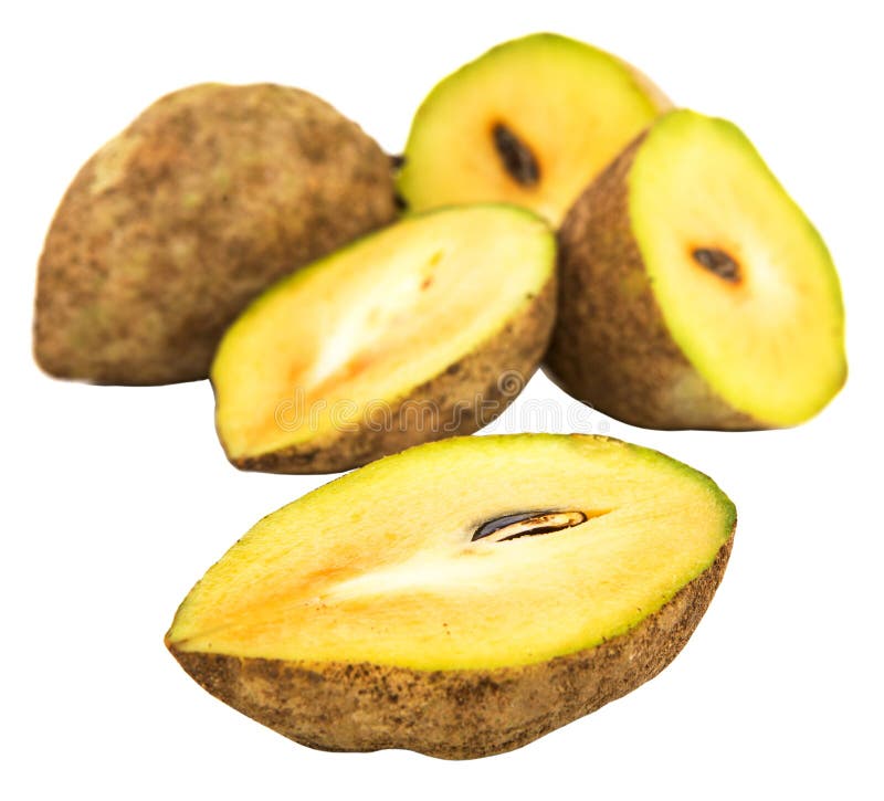 Chiku Fruits Tree in Agriculture Stock Photo - Image of organic, sapota ...