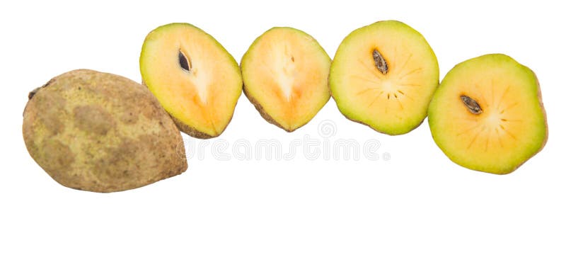 Chiku Fruits Tree in Agriculture Stock Photo - Image of organic, sapota ...