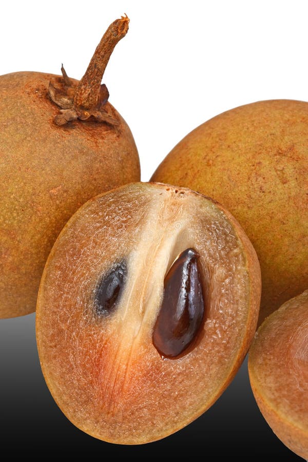 Sapodilla-Fruit stock image. Image of chicku, sweet, chiku - 17243401