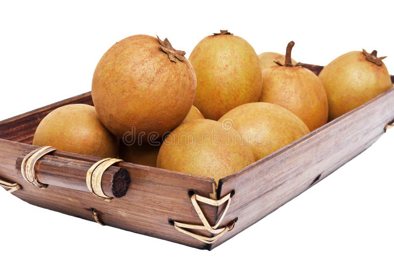 Sapodillas Stock Photos - Free & Royalty-Free Stock Photos from Dreamstime