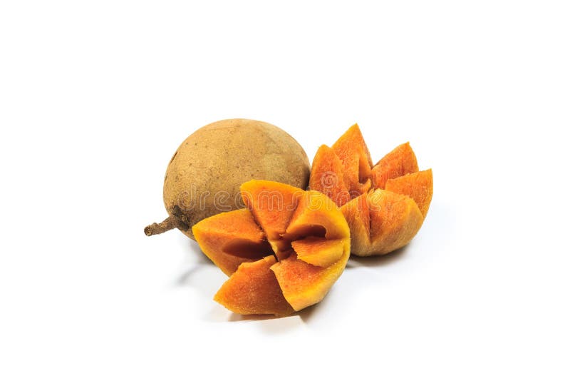 Sapota fruit stock photo. Image of chiku, plant, sapota - 22749418