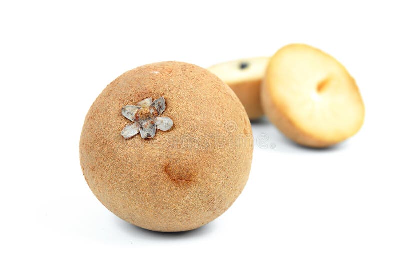 Sapote stock photo. Image of juyce, zapote, mame, chupa - 1888906