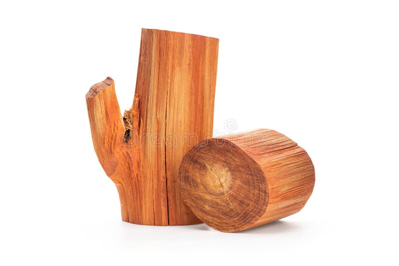 Sappan,sappan Tree or Caesalpinia Sappan Woods Isolated on White ...