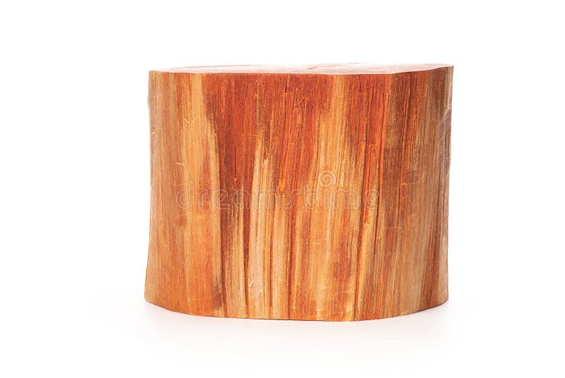 Sappan Tree. (Caesalpinia Sappan Linn.) in Botanic Garden. Stock Image ...