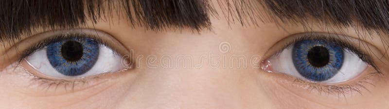Sapphire-blue eyes stock photo. Image of colour, lenses - 4334770