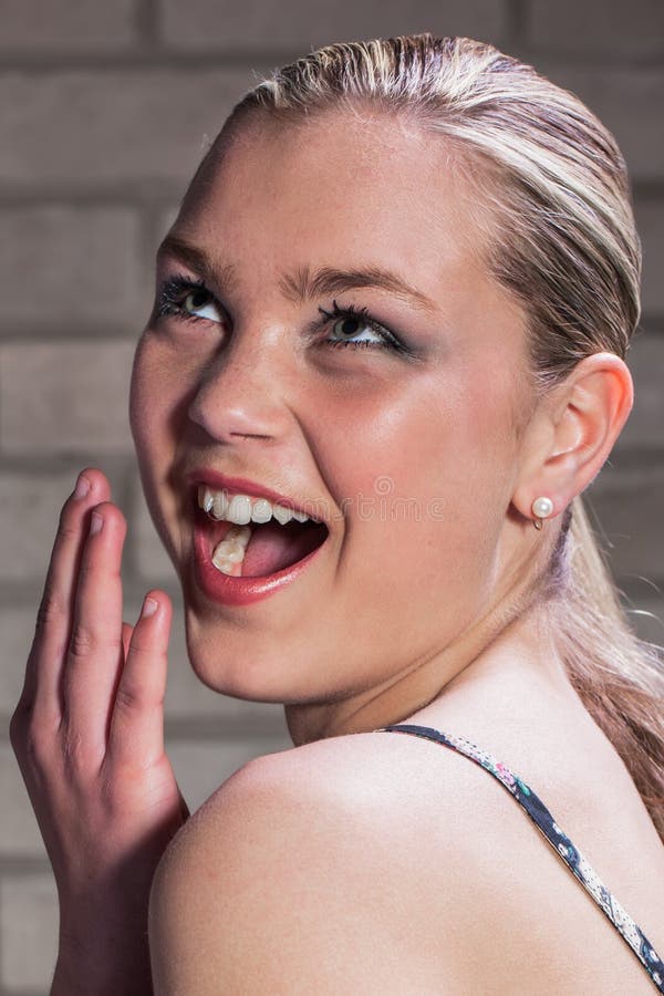 Sarcasm stock image. Image of black, beauty, portrait - 27807767