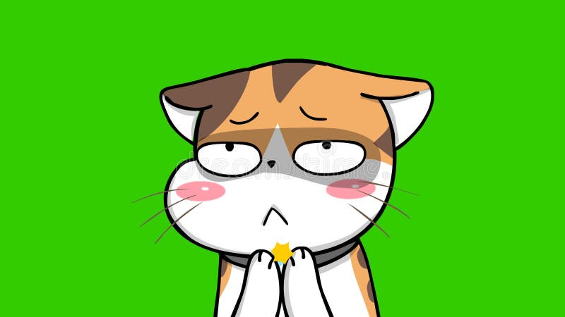 Animated Cat Sarcastic Laugh Green Screen Stock Video - Video of funny ...
