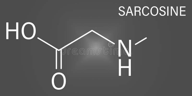 Sarcosine, N-methylglycine Molecule. Skeletal Formula Stock Vector ...