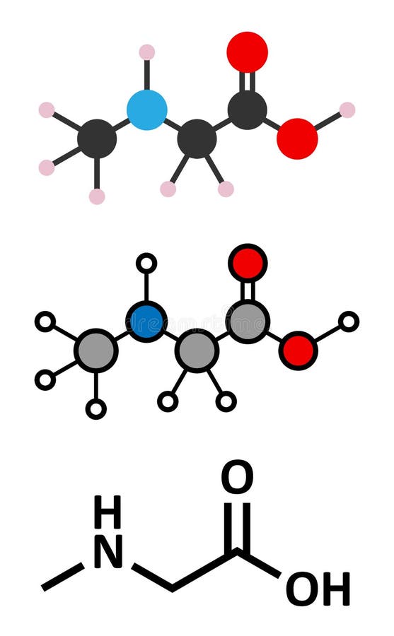 Sarcosine N-methylglycine Molecule. Stylized 2D Renderings and ...