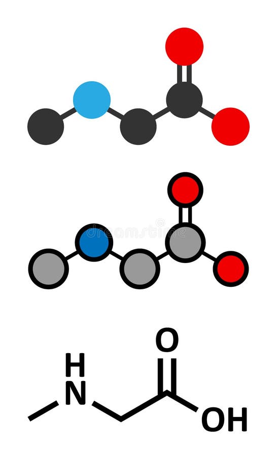 Sarcosine, N-methylglycine, N-alkylglycine Molecule. it is Amino Acid ...