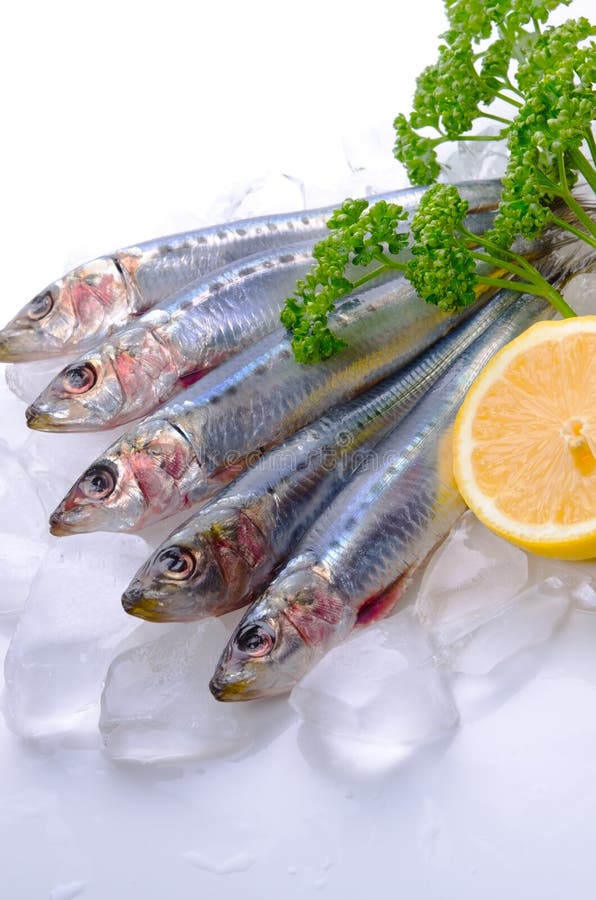 Sardine stock image. Image of herringlike, cuisine, tail - 11898073