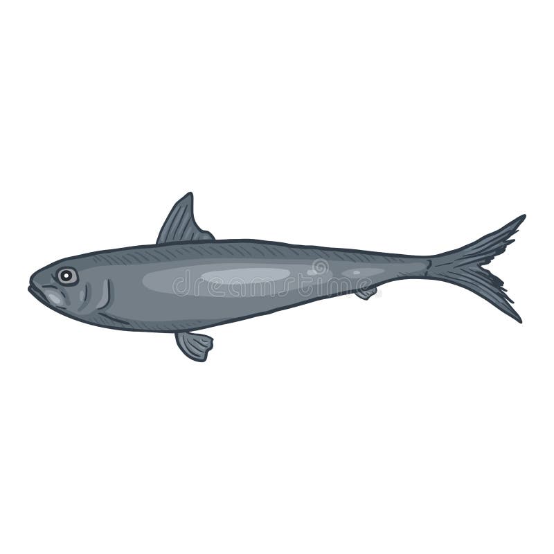 Sardine Cartoon Fish Vector Illustration Stock Vector - Illustration of ...