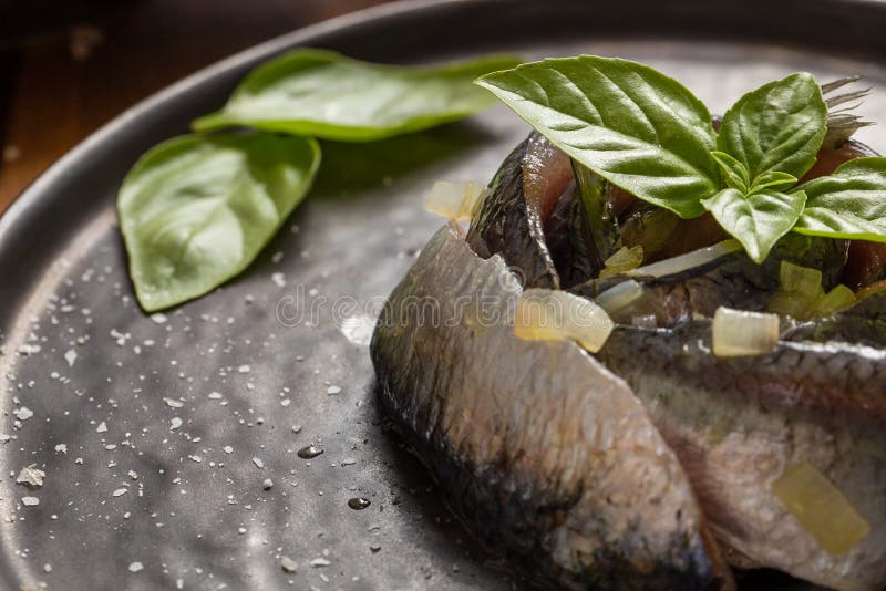 Sardine plate with basil stock image. Image of sardine - 108235733