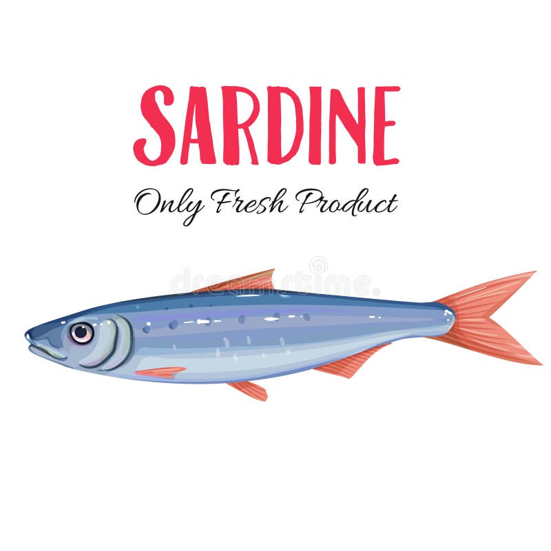 Sardine Stock Illustrations, Vecteurs, & Clipart – (6,436 Stock ...