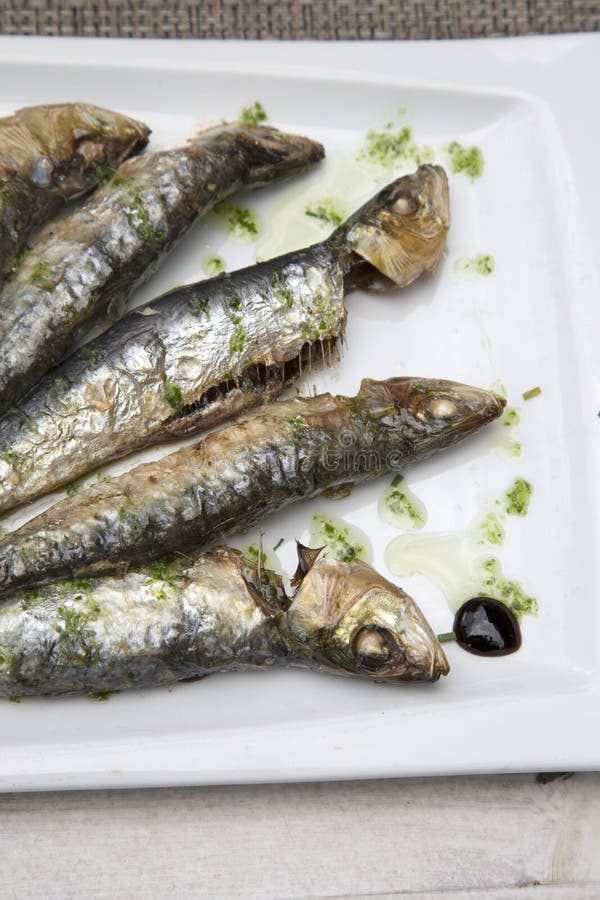 Sardine Fish, Majorca stock photo. Image of fish, spanish - 111341472