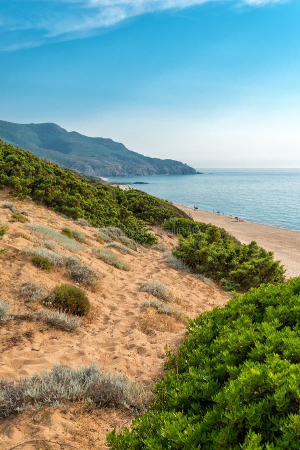 Sardinia stock image. Image of sand, sardinia, seaboard - 57185393