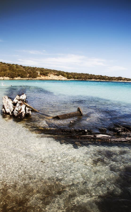 Sardinia Caprera Shipwreck Beach Stock Photo - Image of city, caprera ...