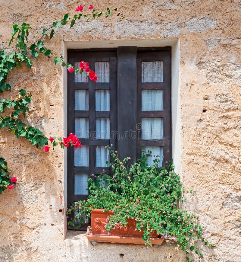 French Window stock photo. Image of blooms, blooming - 24111470