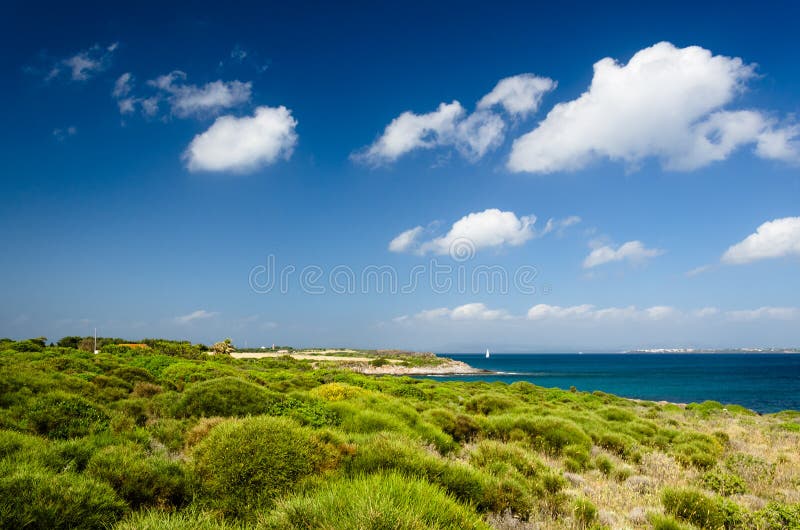 Sardinien - Carloforte stockfoto. Bild von sonnig, reise - 36309166