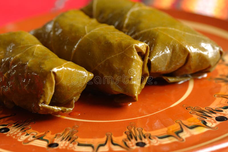 Sarma stock photo. Image of parsley, cold, meat, olive - 36182612