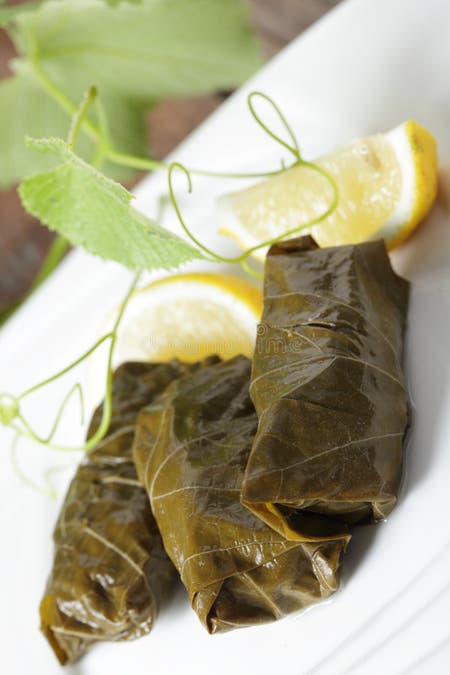 Sarma stock image. Image of lunch, turkish, plate, sarma - 15938693