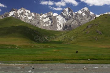 1,105 Sary Hott Stock Photos - Free & Royalty-Free Stock Photos from ...