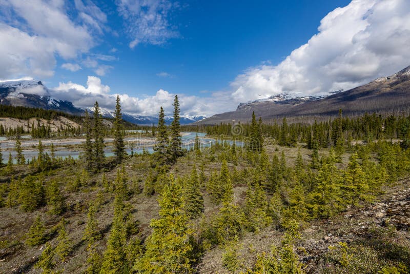 Saskatchewan River Crossing in the Rocky Mountains of Canada Stock ...