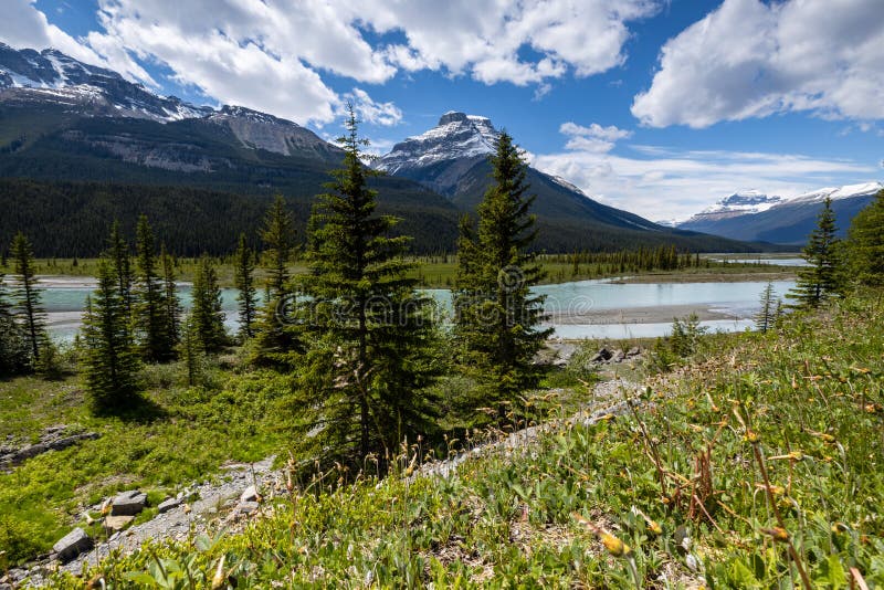 Saskatchewan River in the Rocky Mountains of Canada Stock Photo - Image ...