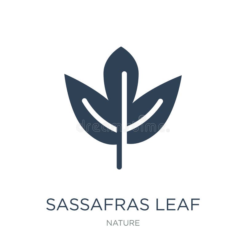 Sassafras Leaf Stock Illustrations – 345 Sassafras Leaf Stock ...