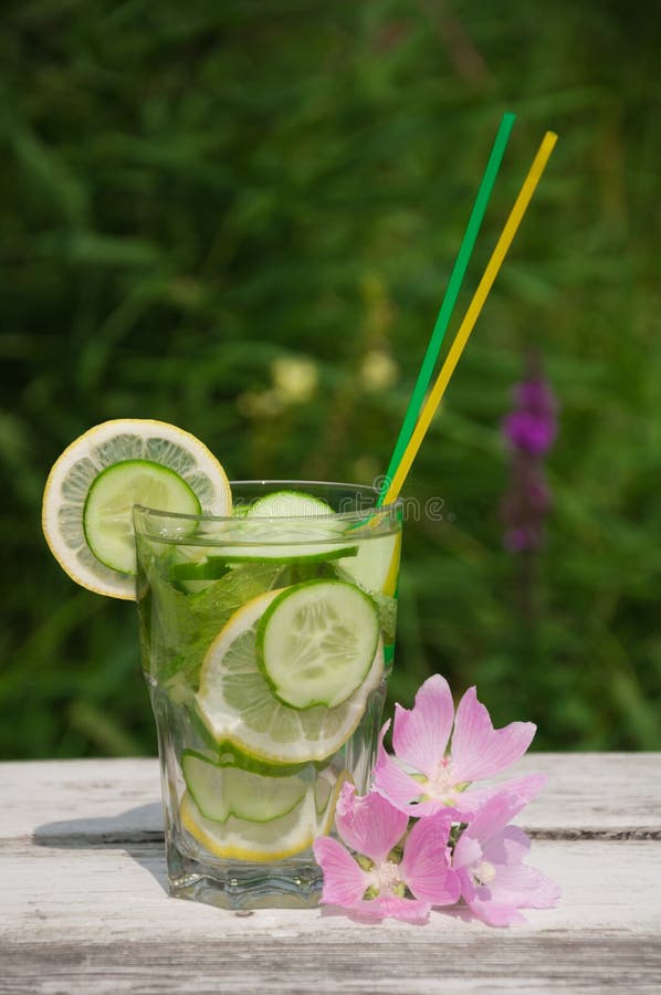 Sassy water in a glass stock image. Image of leaf, cleanse - 77901923