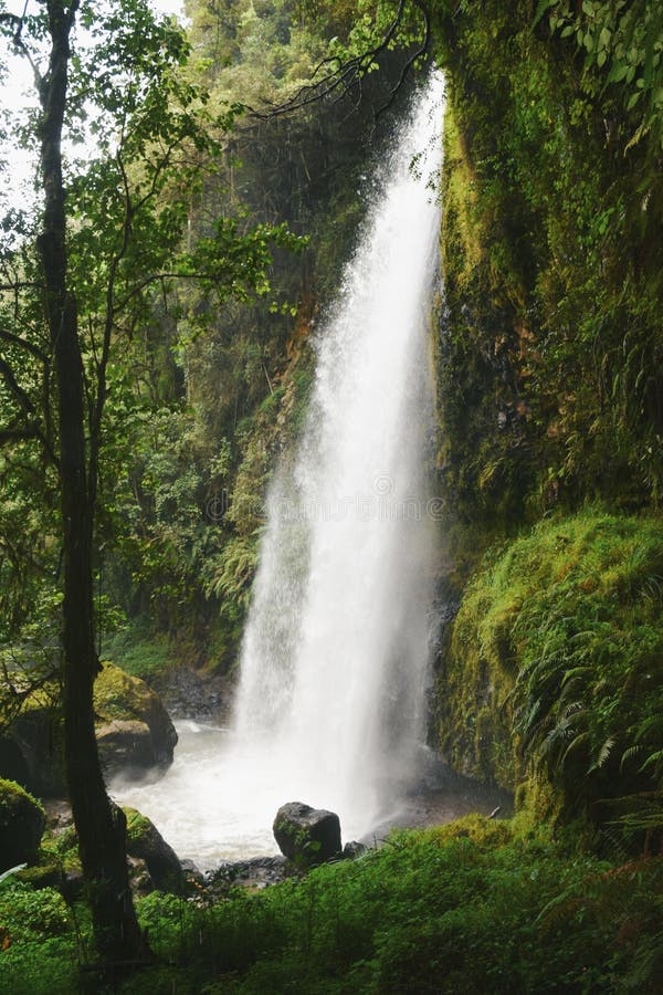 Scenic Waterfall in the Aberdare Ranges, Kenya Stock Photo - Image of ...