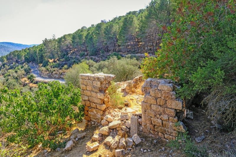 Sataf National Park in the Jerusalem Hills, Israel Stock Image - Image ...