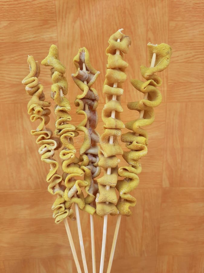 Sate chicken intestine stock photo. Image of cooking - 263174396