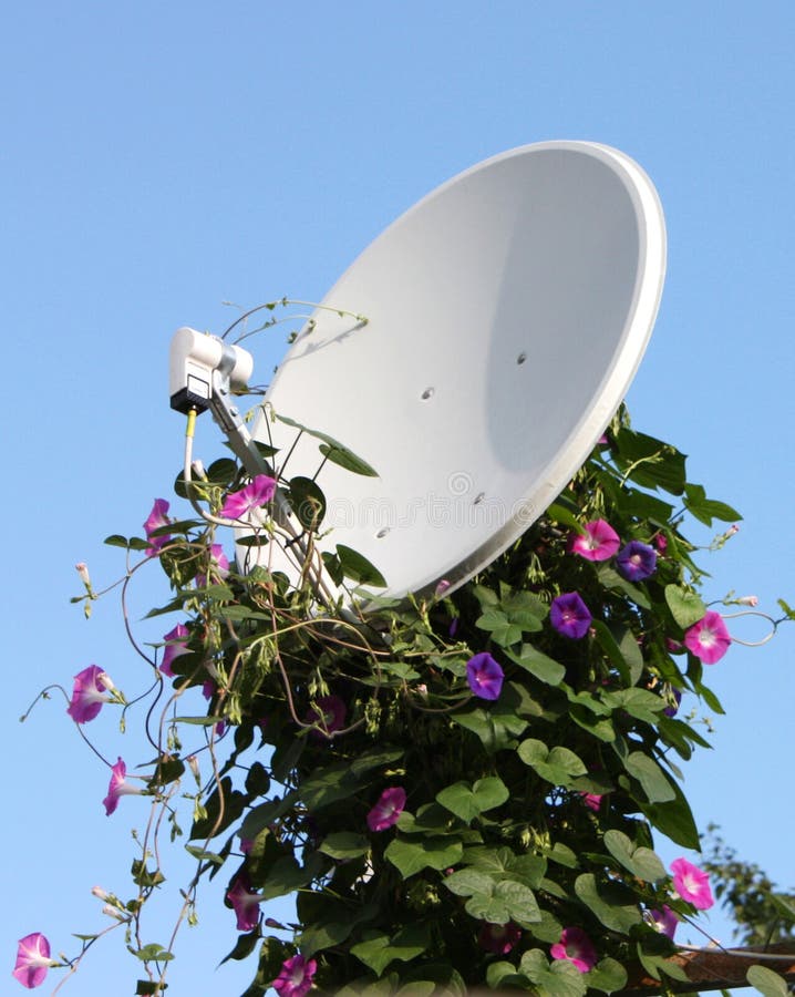 Satellite Antenna with Flowers Stock Image - Image of dish, program ...