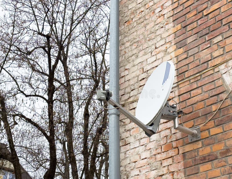 Satellite Dish Mounted on Brick Wall Next To Bare Tree in Urban Setting ...