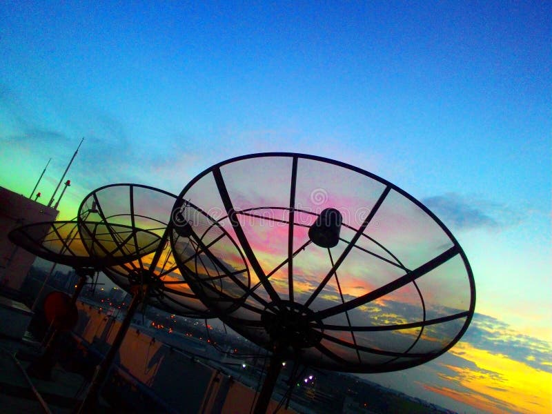 Satellite TV Dishes Mounted on One Tree, Tricolor-TV Editorial Image ...