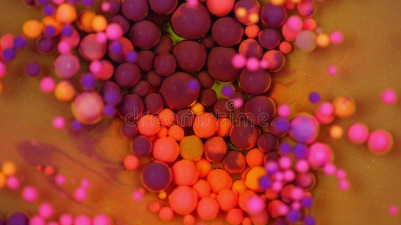 The Scientific Study of Color Mixing with Microscopic Oil Bubbles Stock ...
