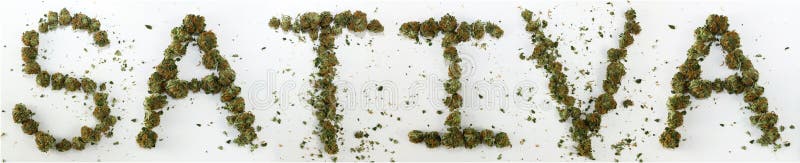 Sativa Spelled with Marijuana Stock Photo - Image of strain, clinic ...