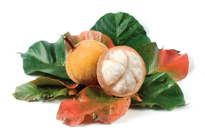 Satol stock photo. Image of satol, thailandfruit, food - 44252830