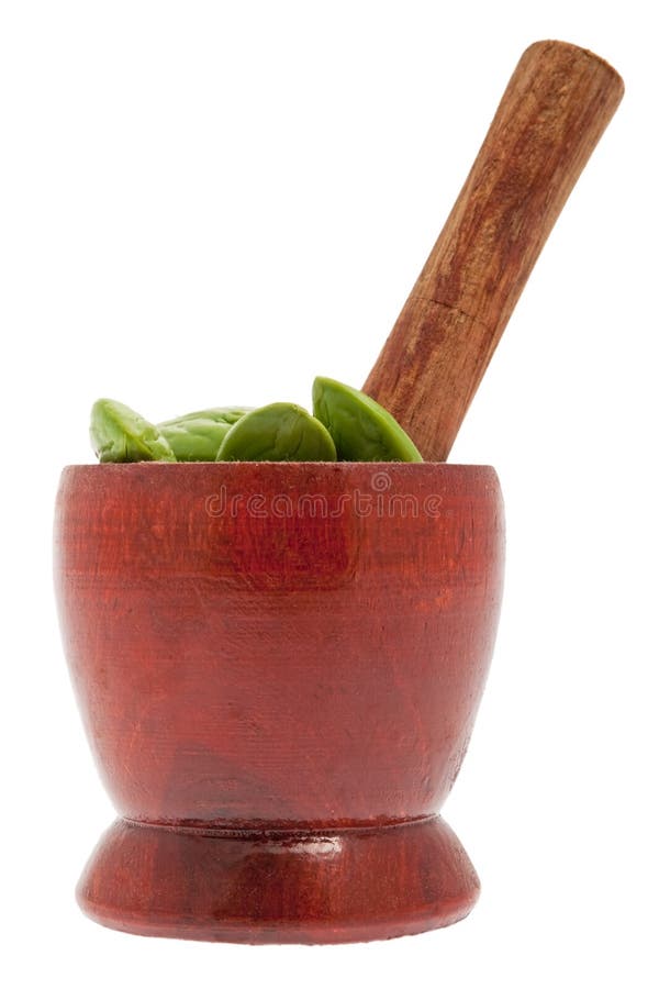 Sator stock photo. Image of nita, vegetables, peeled - 10365360