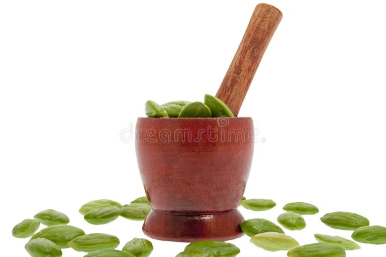 Sator stock image. Image of food, asian, photograph, gourmet - 10365385