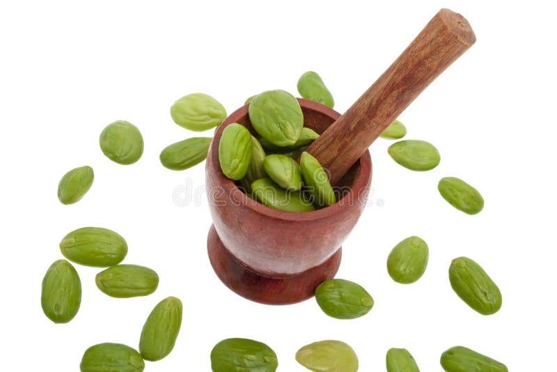 Sator stock photo. Image of kitchen, mortar, sator, lumber - 13406518