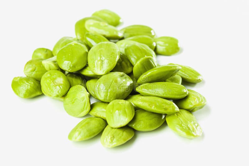 Sator Beans (Parkia Speciosa) Stock Photo - Image of gleaming, diet ...