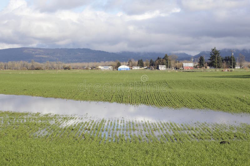 Saturated Agricultural Land Stock Image - Image of rural, storm: 29579413